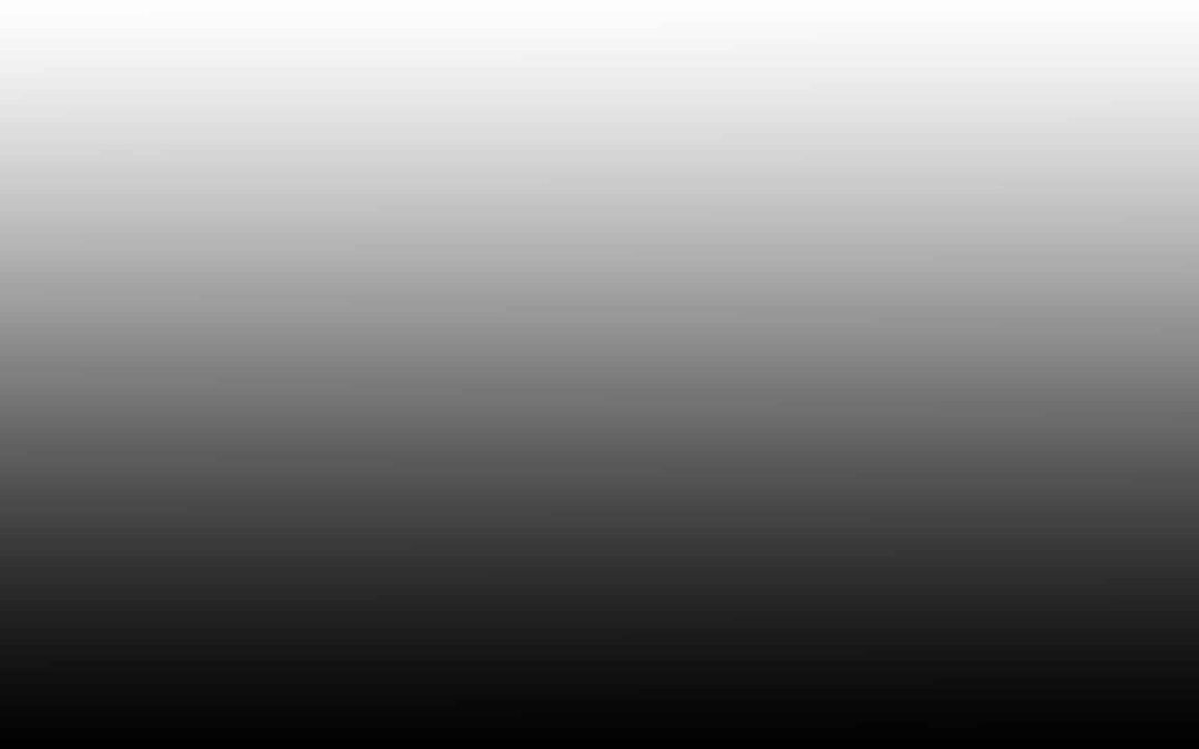 gradient-test | The Whole Beauty® Institute